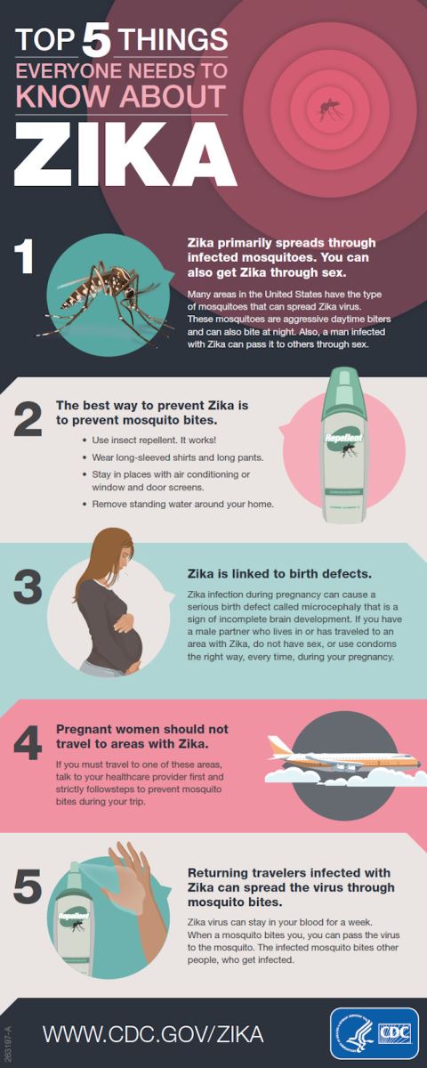 The Scope Blog - Top 5 Things Everyone Needs to Know About Zika ...