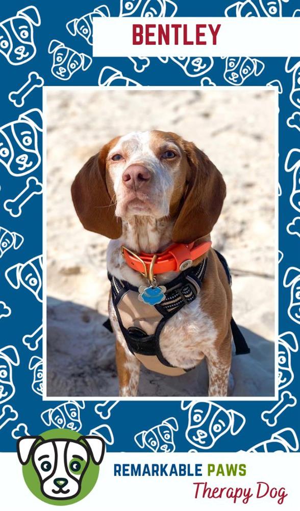 Pet Therapy - Tanner Health System