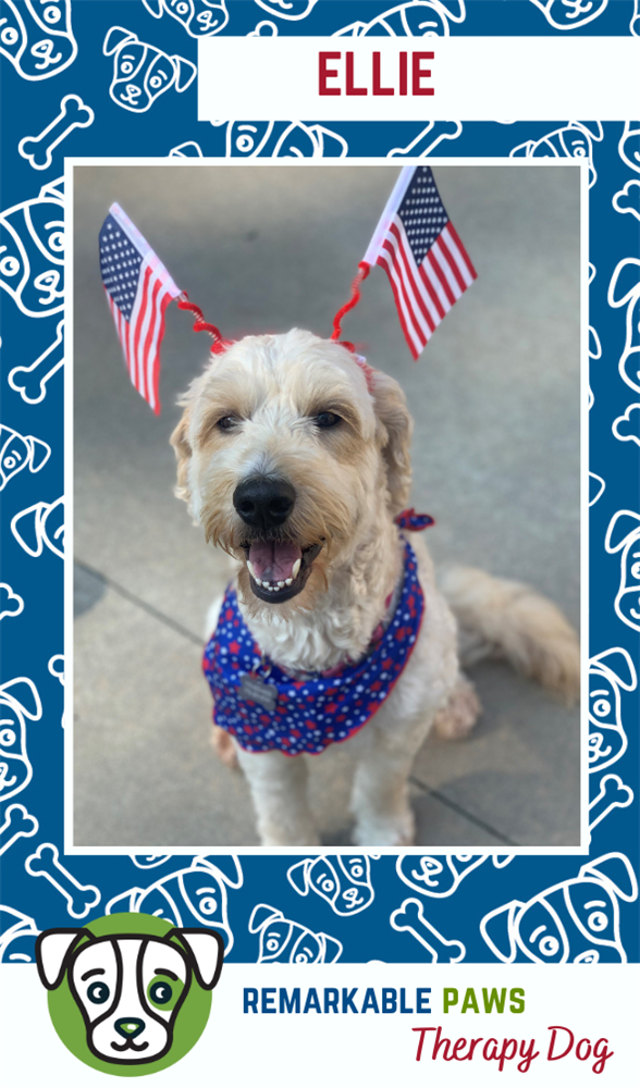 Pet Therapy - Tanner Health