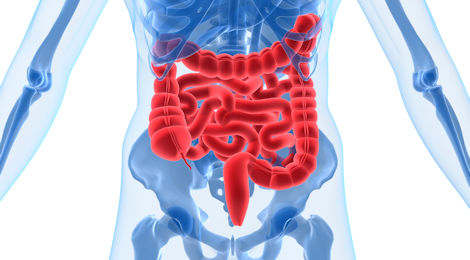 The Scope Blog - Colorectal Cancer: Just the Facts - Tanner Health